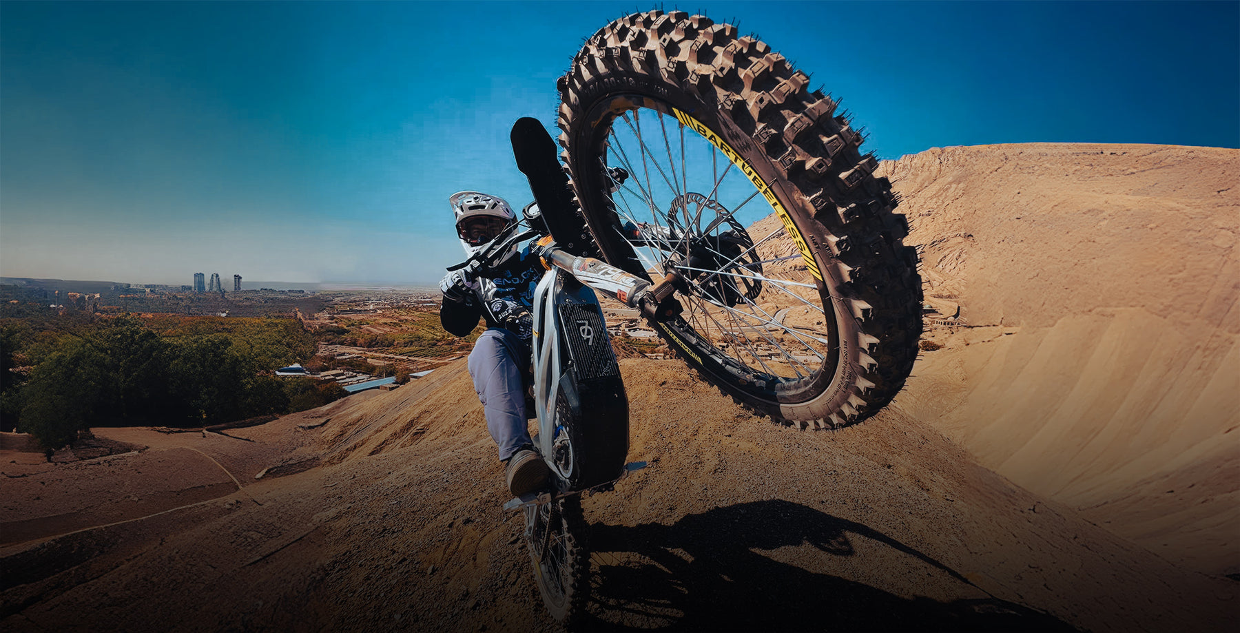 79Bike Falcon Pro – mario-bikes